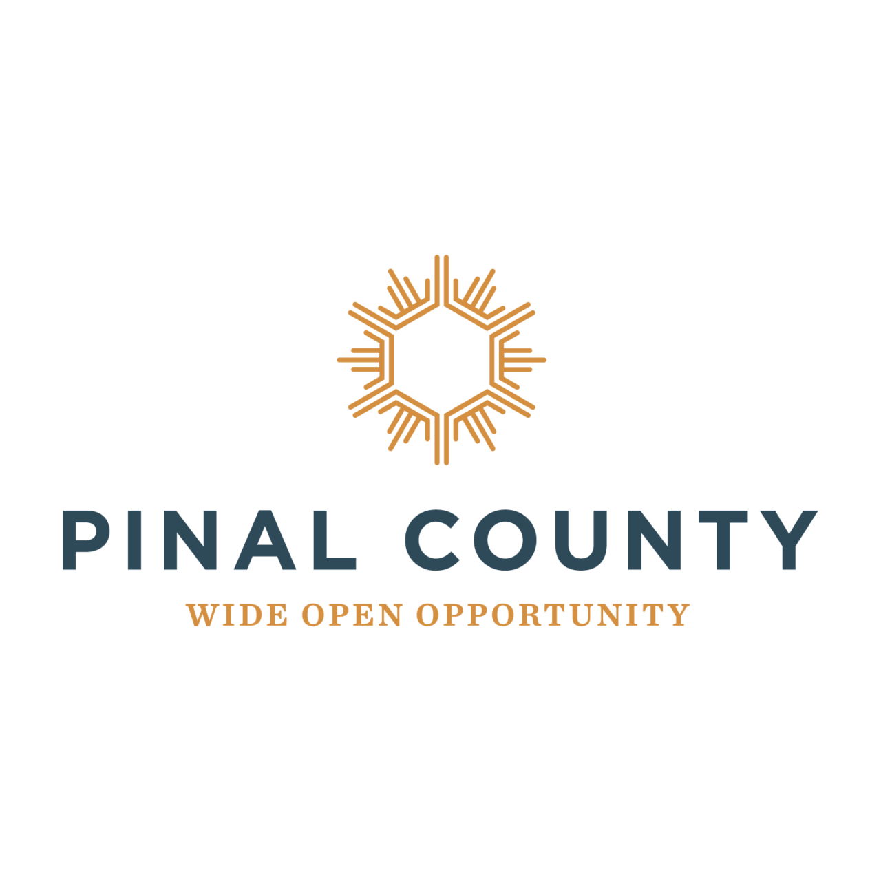 Innovative Projects | AAED