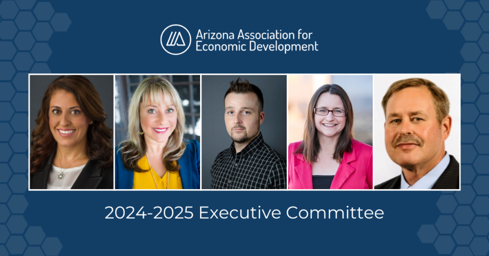 AAED Announces New Officers and Board Members for 2024-2025 | AAED