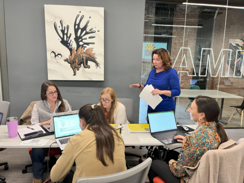 CEcD & Basic Economic Development Course | AAED